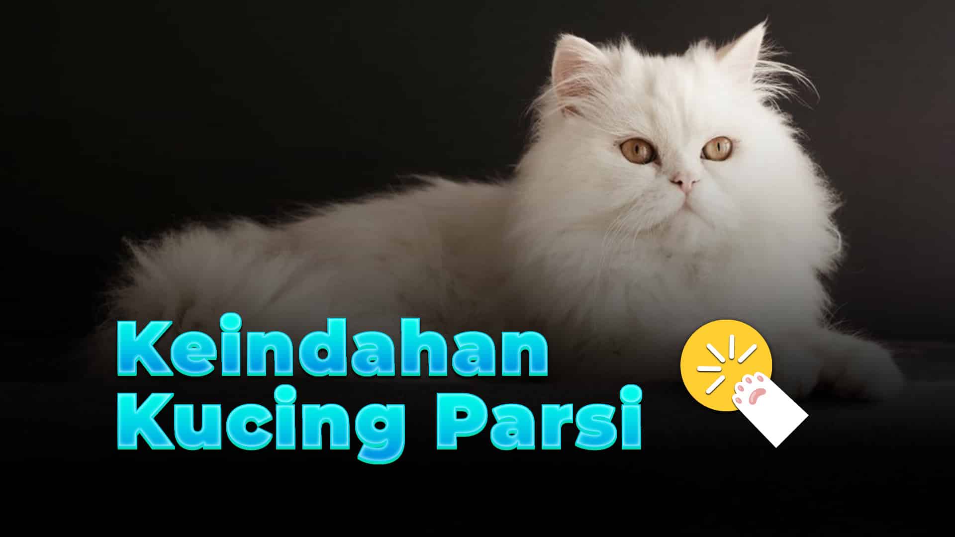 Keindahan Kucing Parsi