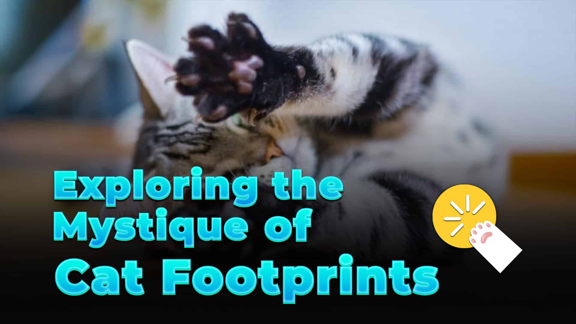 Exploring the Mystique of Cat Footprints